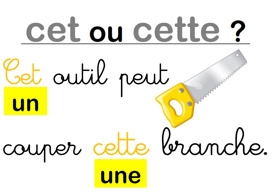  Affichage TOUTES Mes Affiches En Orthographe MA MAITRESSE DE CM1 CM2